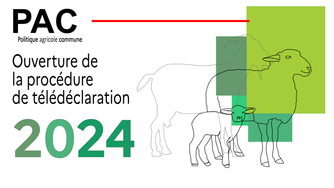 Ouverture de la procédure de télédéclaration 2024 pour les aides ...