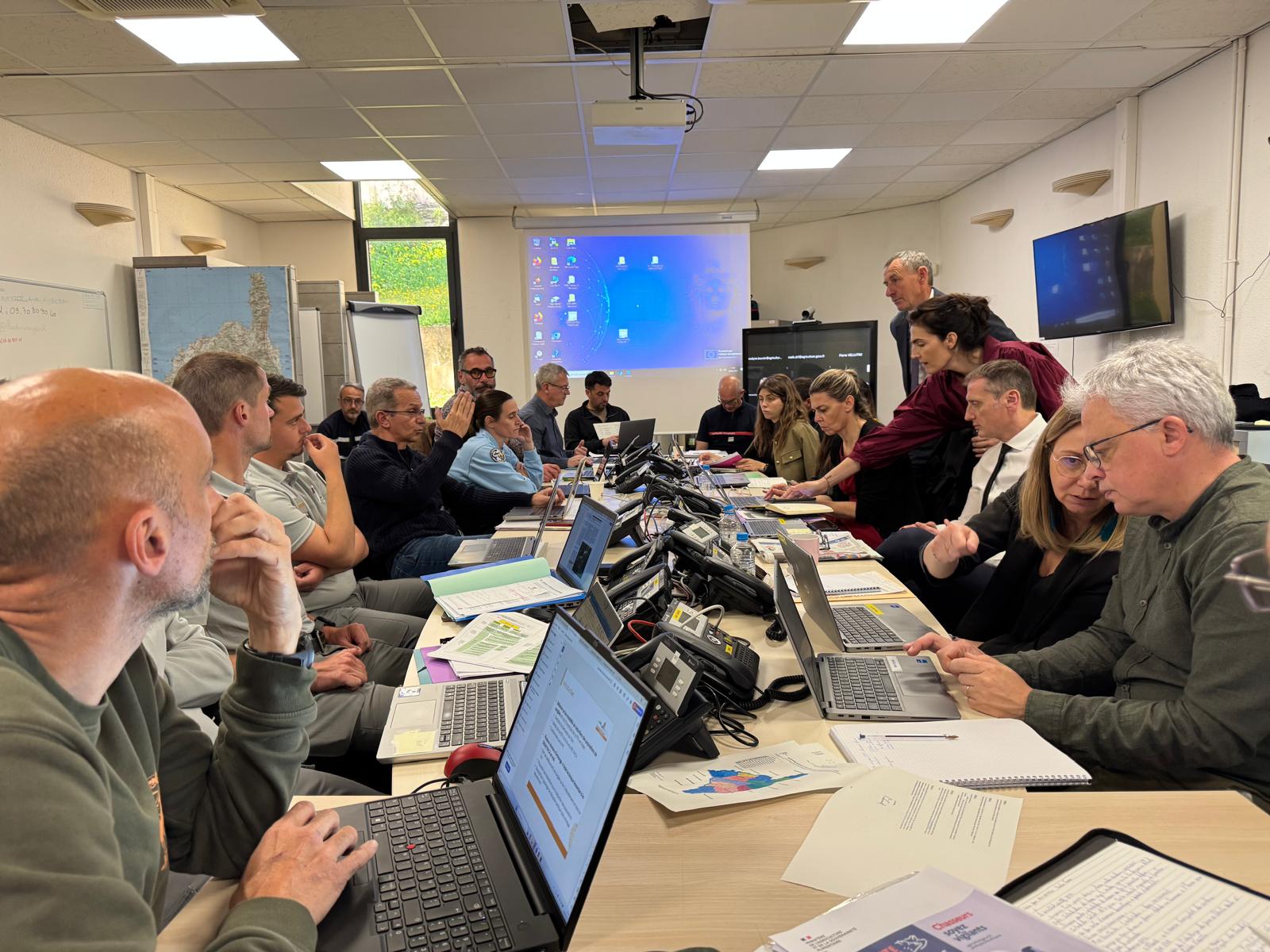 Peste Porcine Africaine - Nouvel exercice en Haute-Corse pour se ...